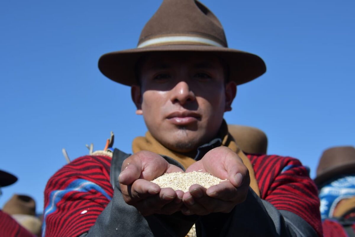 EMAPA – Empresa de Apoyo a la Producción de Alimentos